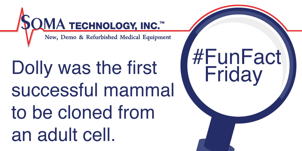 The Science Behind Cloning Dolly the Sheep and Other Animals