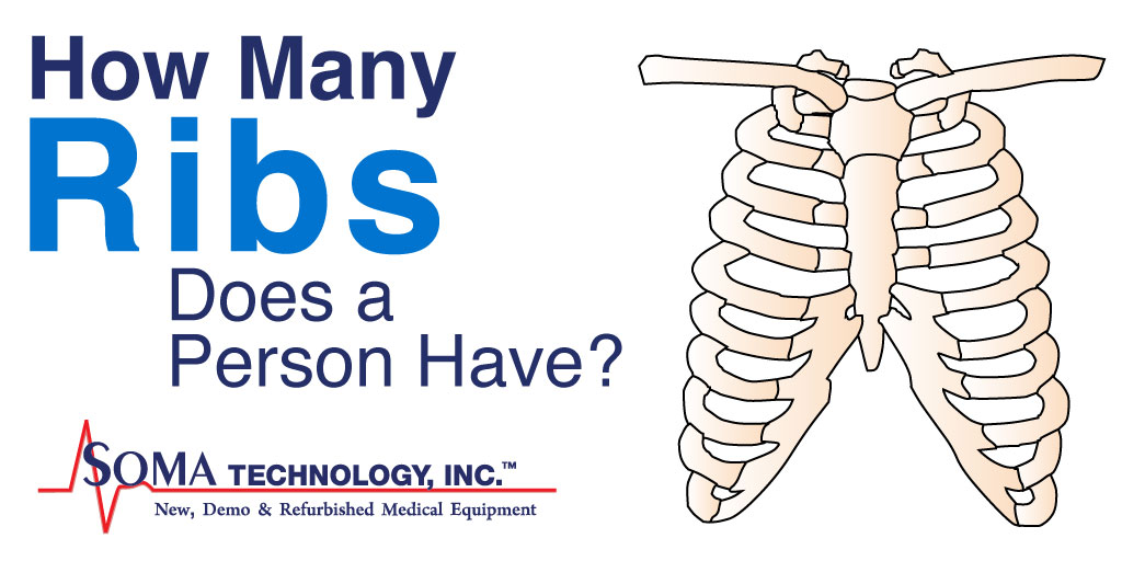Wednesday Wisdom How Many Ribs Are In The Body 