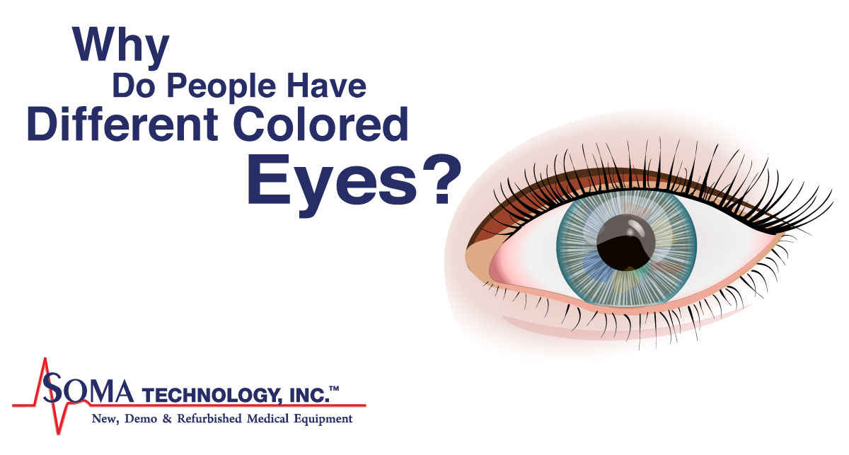 Why Do People Have Different Colored Eyes?