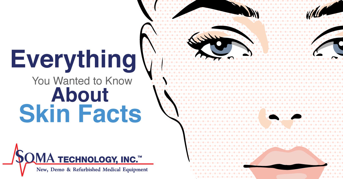 Skin Facts - Everything You Wanted to Know About Skin