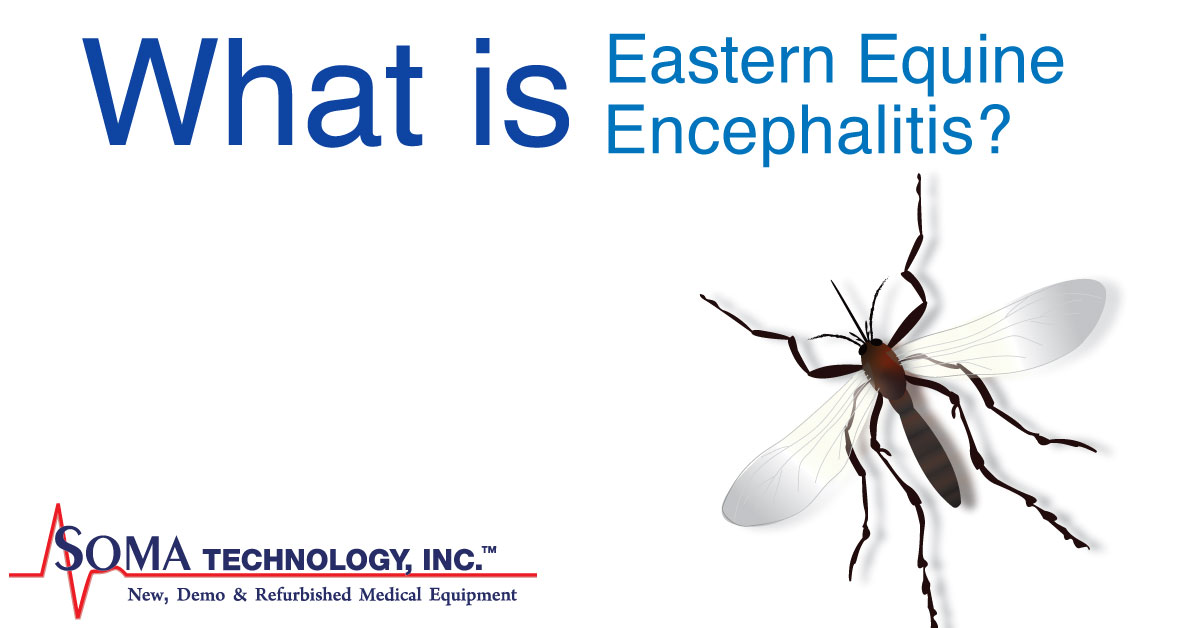 What is Eastern Equine Encephalitis? - Soma Tech Intl's Blog