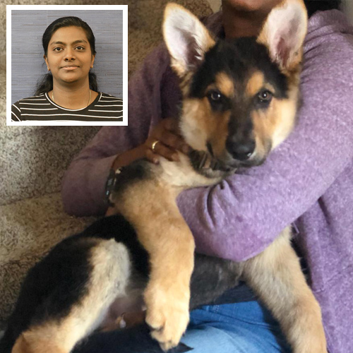 Día Nacional de las Mascotas con Soma Tech Intl