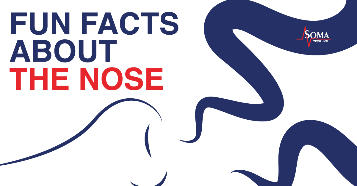 Fun Fact Friday: Fun Facts About The Nose - Strongest Human Sense